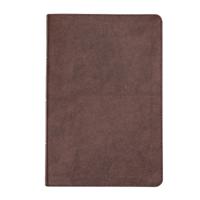 CSB Large Print Thinline Bible, Brown, Indexed - - spesialbinding ...