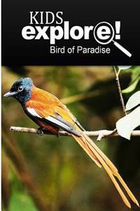 Birds Of Paradise - Kids Explore: Animal books nonfiction - books ages ...